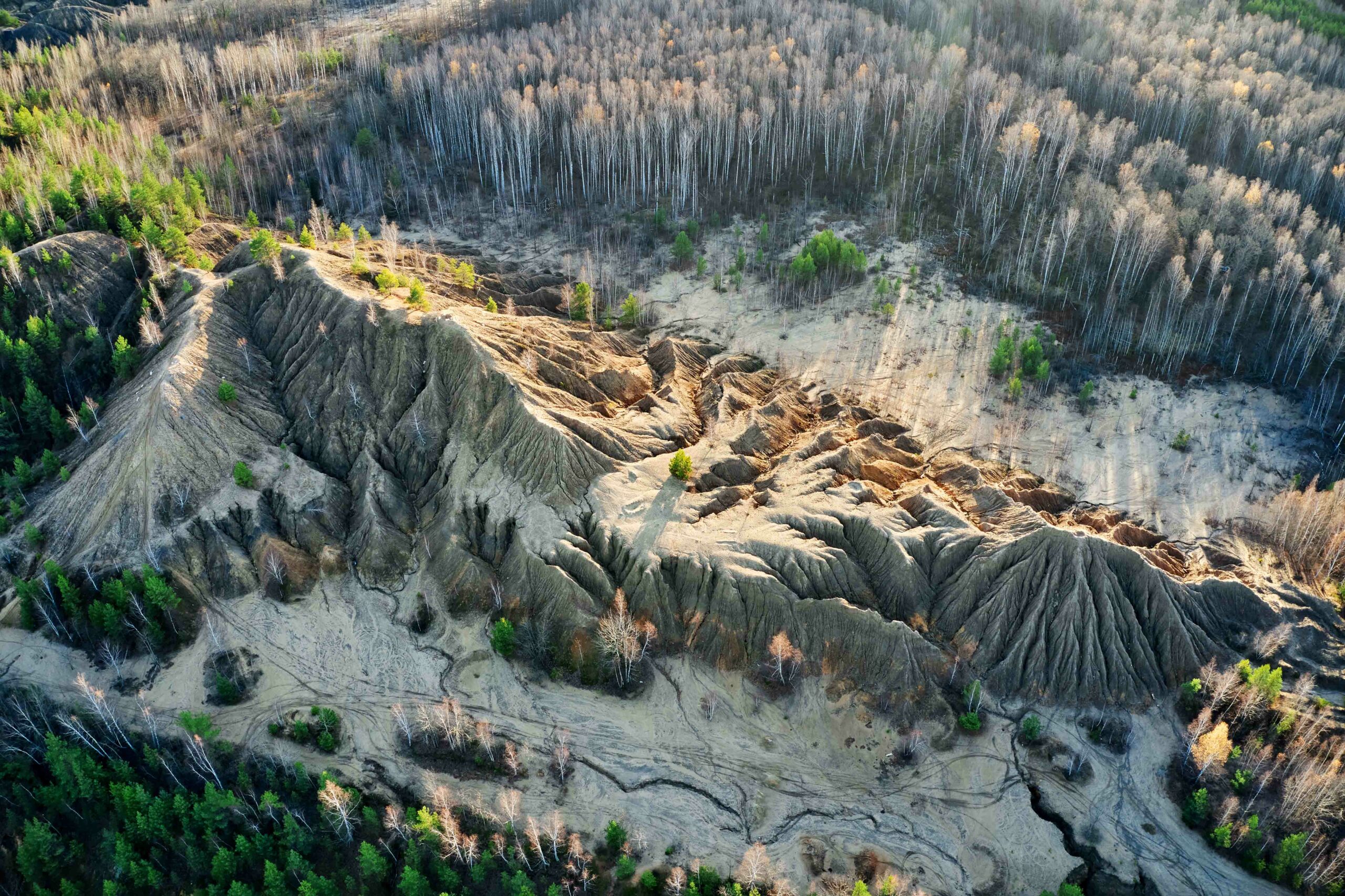 Terrain - terraPulse